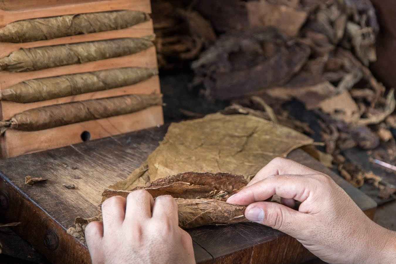 Cigar Knowledge- How to pick a right one for yourself? – Royal Smokes ...